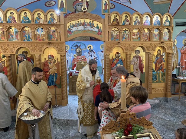 HIS GRACE BISHOP SILUAN VISIT TO HOLY TRINITY AND PROTO MILORAD ...